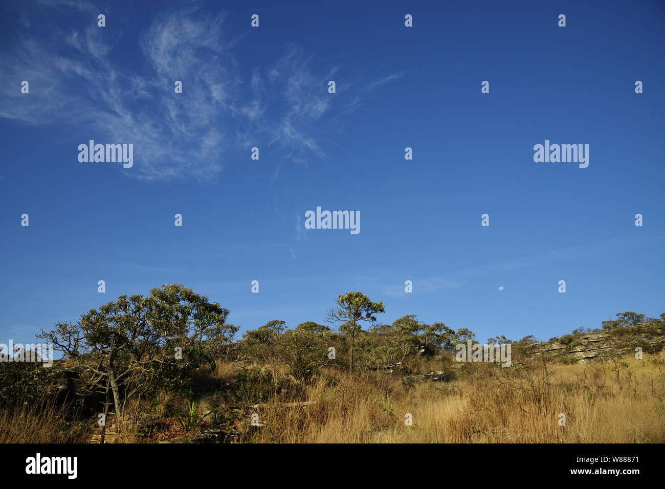 Field Crescent Moon High Resolution Stock Photography and Images - Alamy