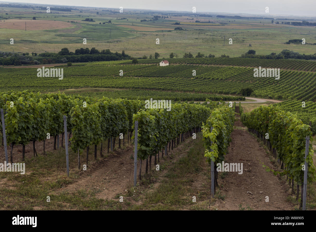 Tokaji landscape hi-res stock photography and images - Alamy