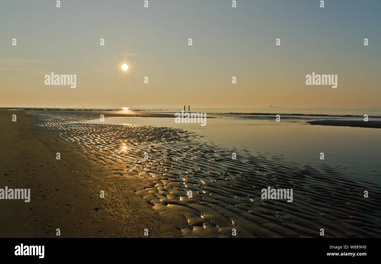 Golden orange yellow setting sunlight hi-res stock photography and ...