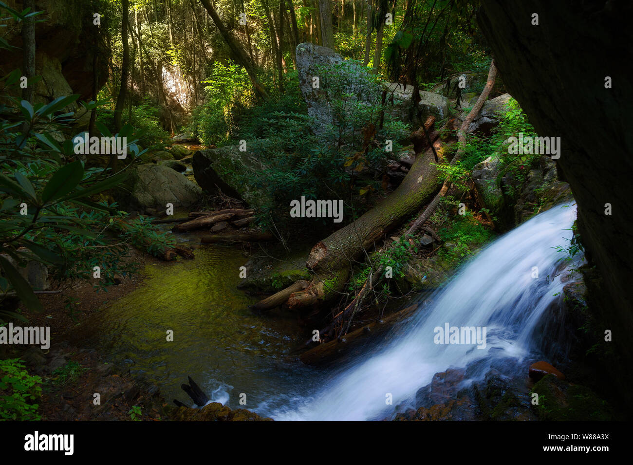 Blue Hole Waterfalls is in the Cherokee National Forest in Elizabethton ...