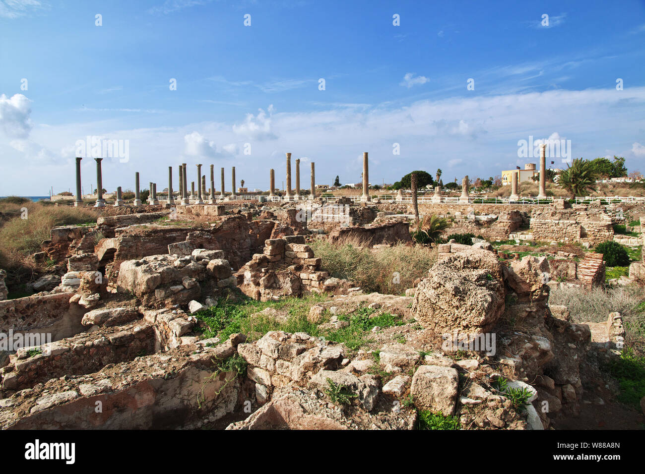 Roman ruins in Tyre (Sour), Lebanon Stock Photo - Alamy