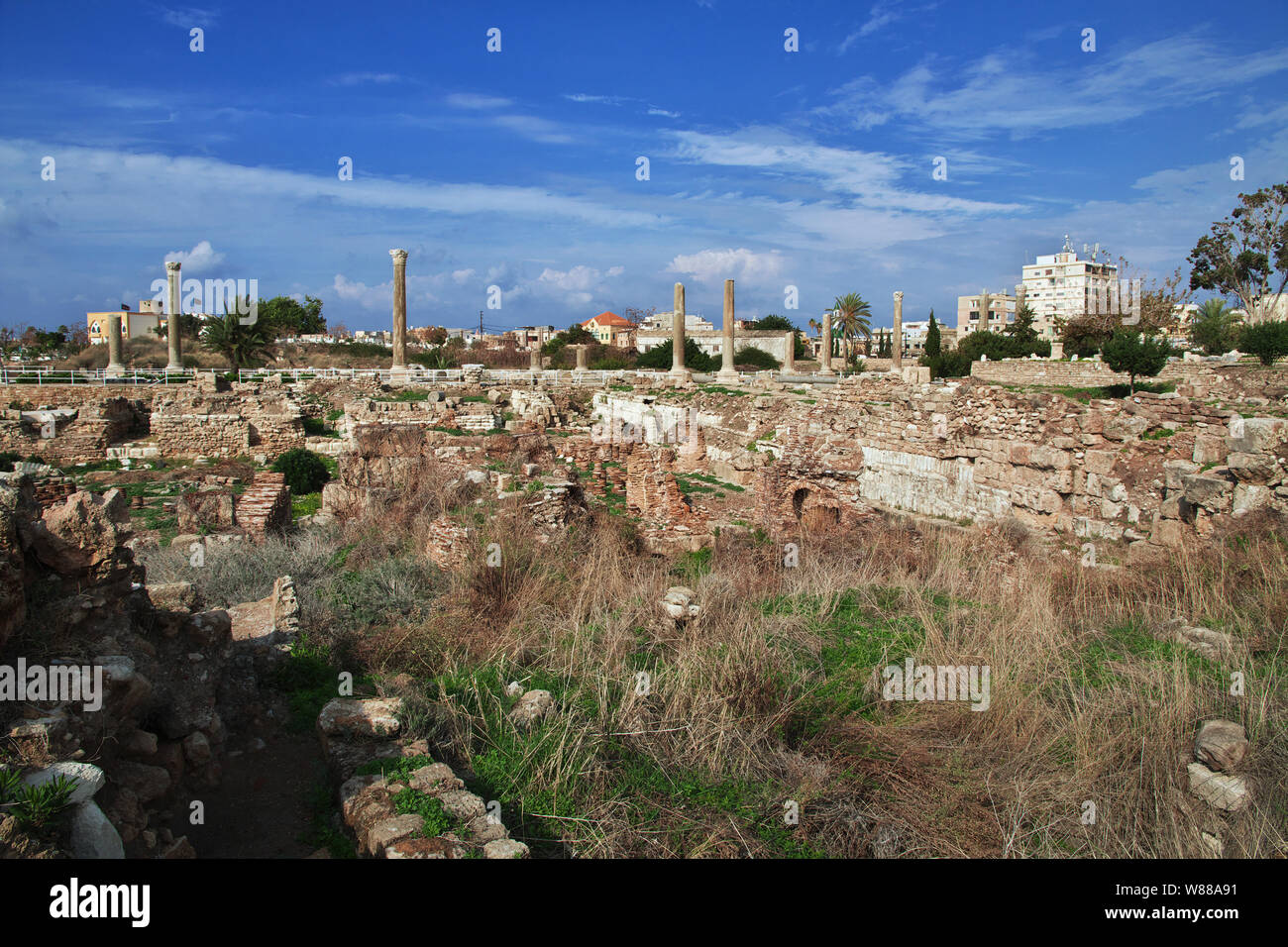 Roman ruins in Tyre (Sour), Lebanon Stock Photo - Alamy