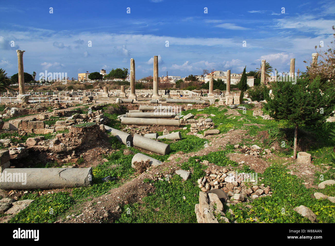 Roman ruins in Tyre (Sour), Lebanon Stock Photo - Alamy