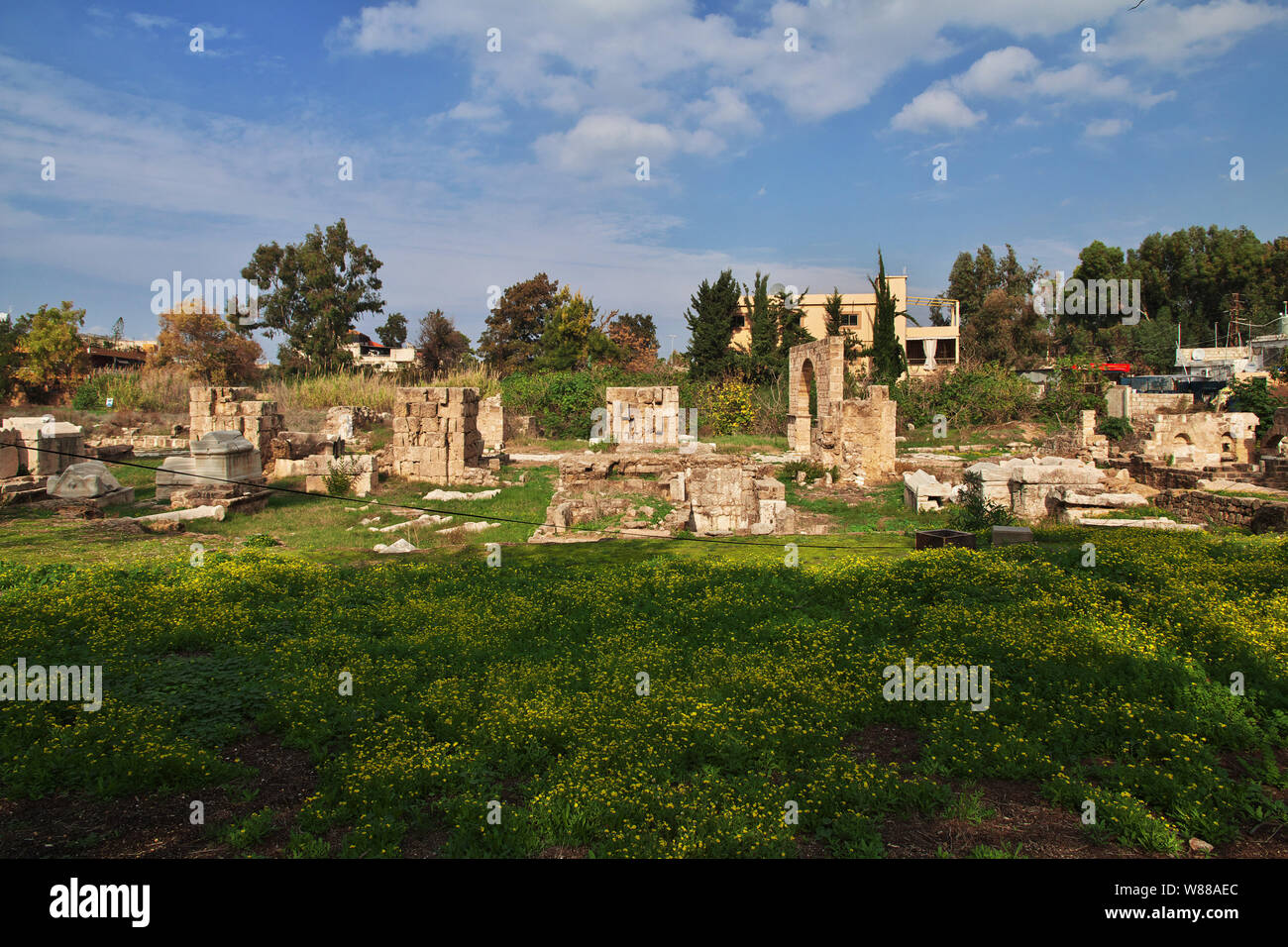 Roman ruins in Tyre (Sour), Lebanon Stock Photo - Alamy