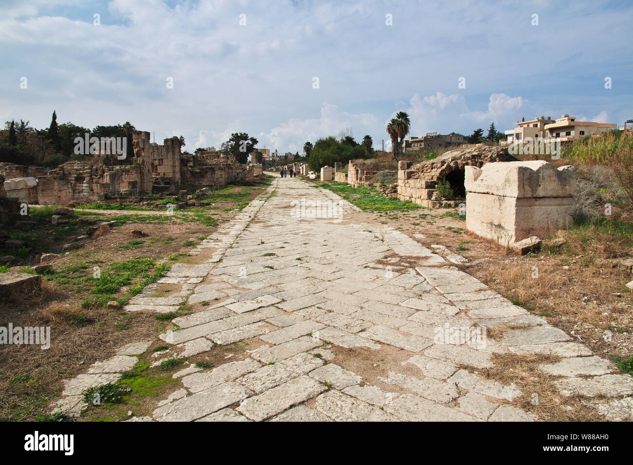 Roman ruins in Tyre (Sour), Lebanon Stock Photo - Alamy