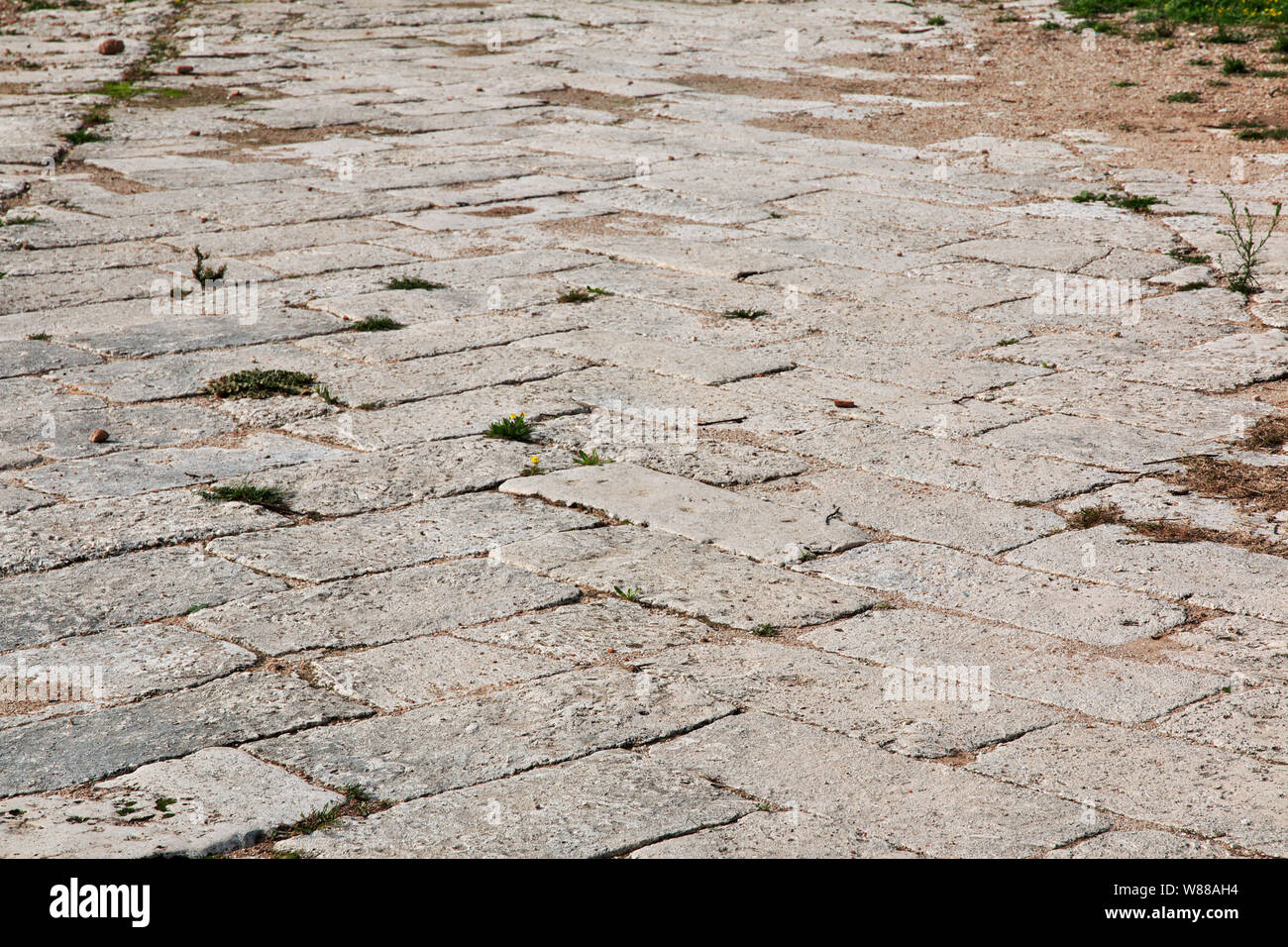 Roman ruins in Tyre (Sour), Lebanon Stock Photo - Alamy