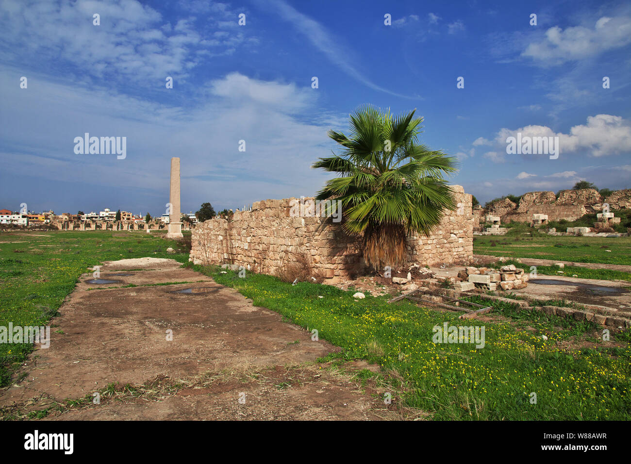 Roman ruins in Tyre (Sour), Lebanon Stock Photo - Alamy