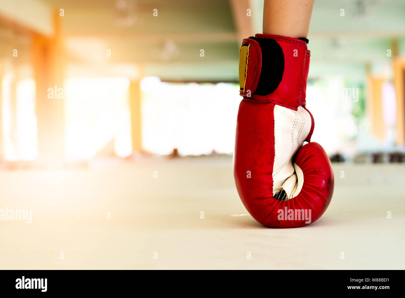 old red boxing gloves knock out the ground Stock Photo - Alamy