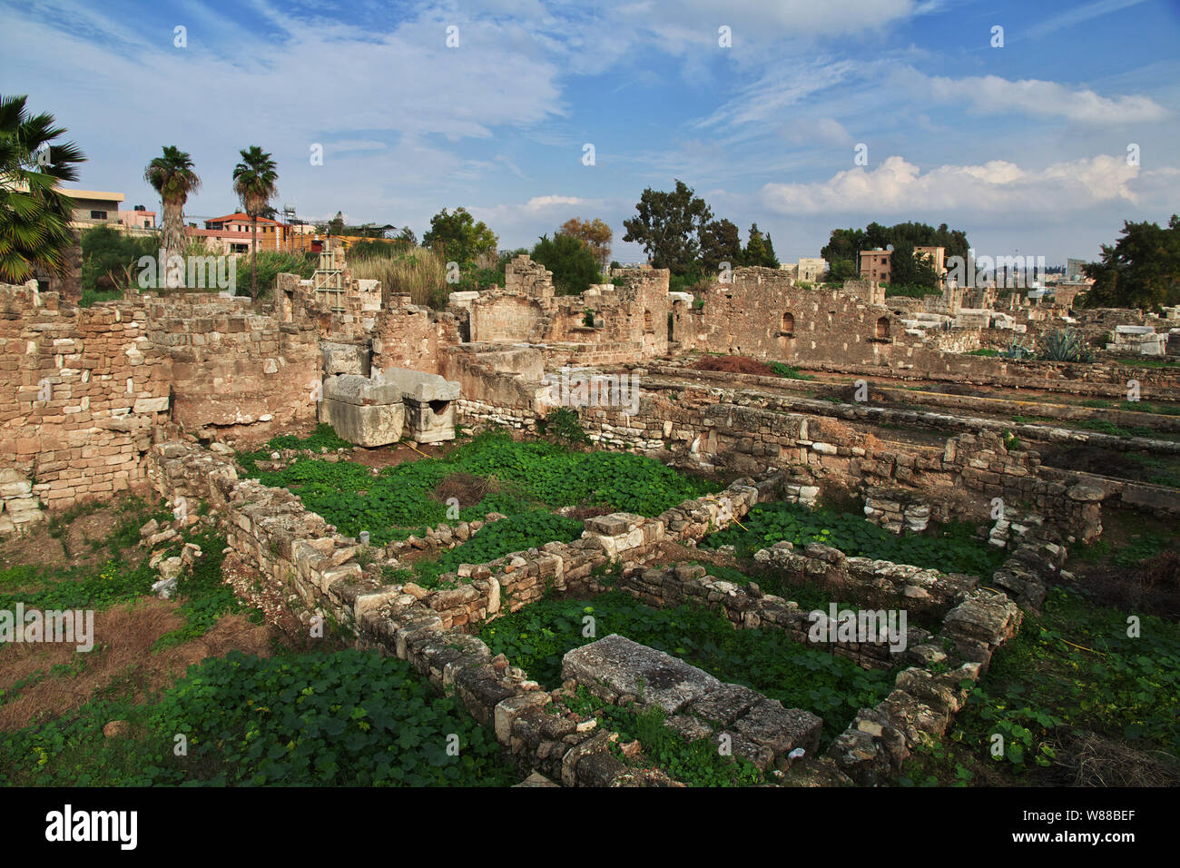 Roman ruins in Tyre (Sour), Lebanon Stock Photo - Alamy