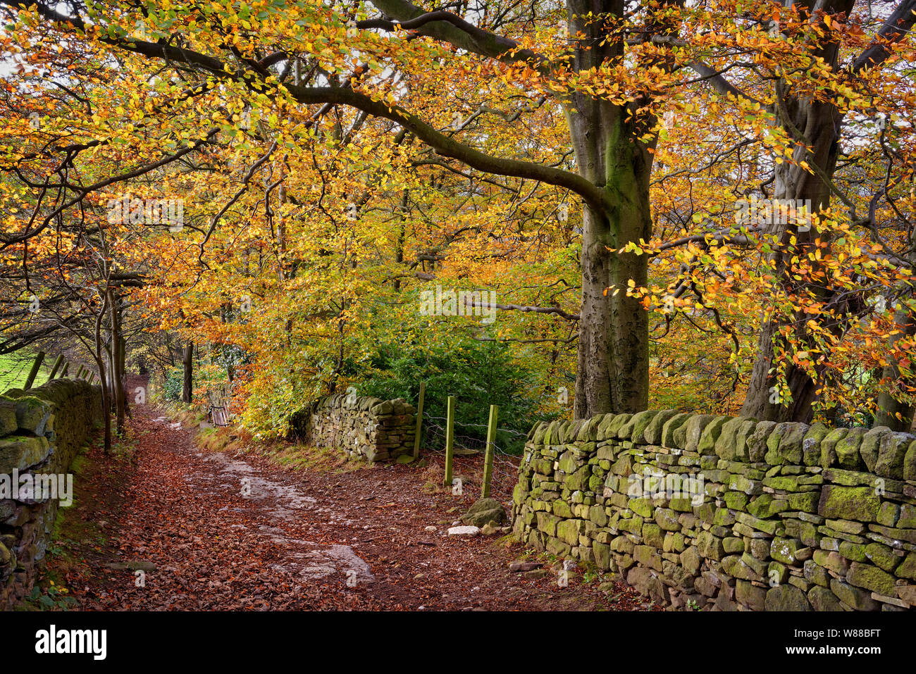 Bamford derbyshire england hi-res stock photography and images - Alamy