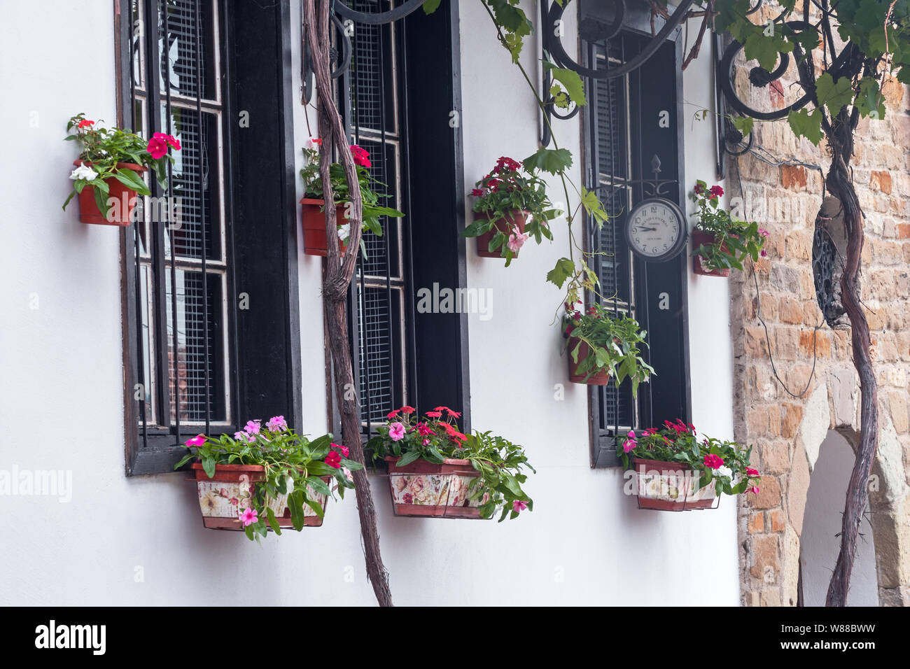 Details of window with flowers in the historic center of Veliko Tarnovo ...