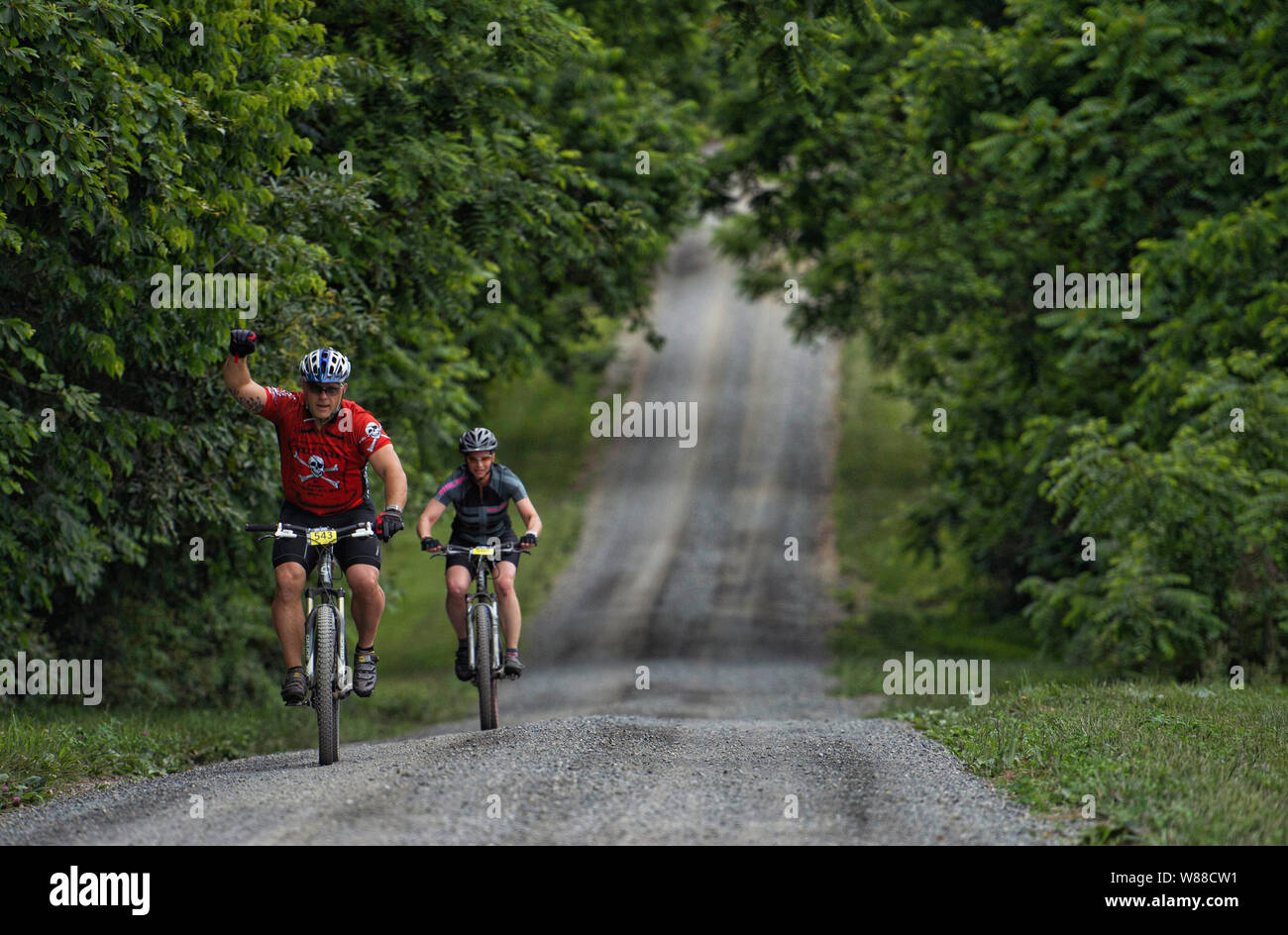 1725 gravel grinder hi-res stock photography and images - Alamy
