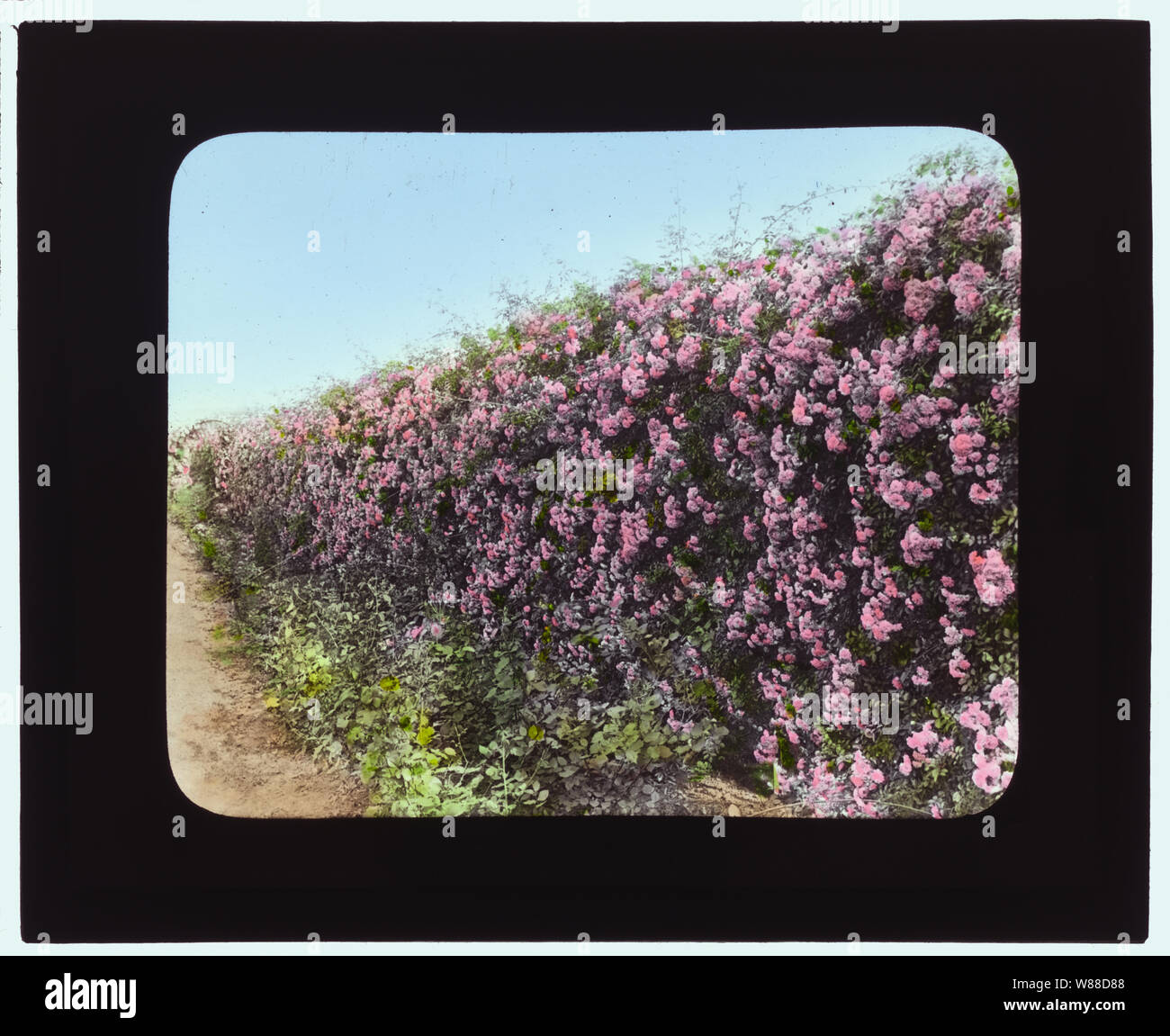 Charles frederick hoffman hi-res stock photography and images - Alamy