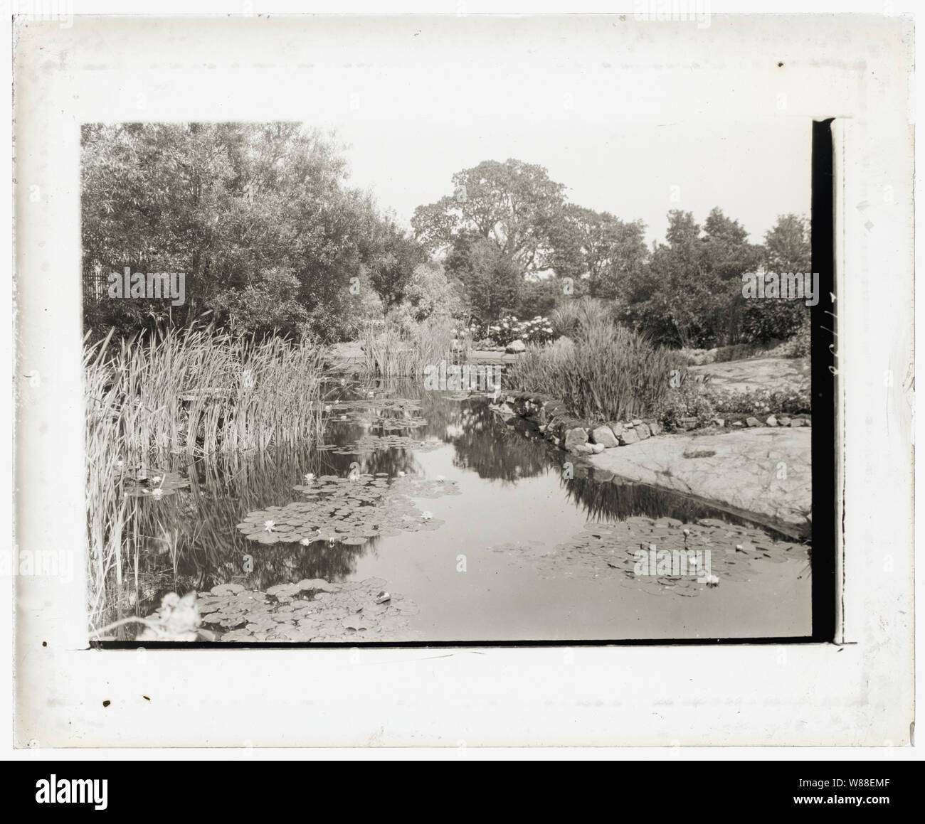 Robert butchart hi-res stock photography and images - Alamy