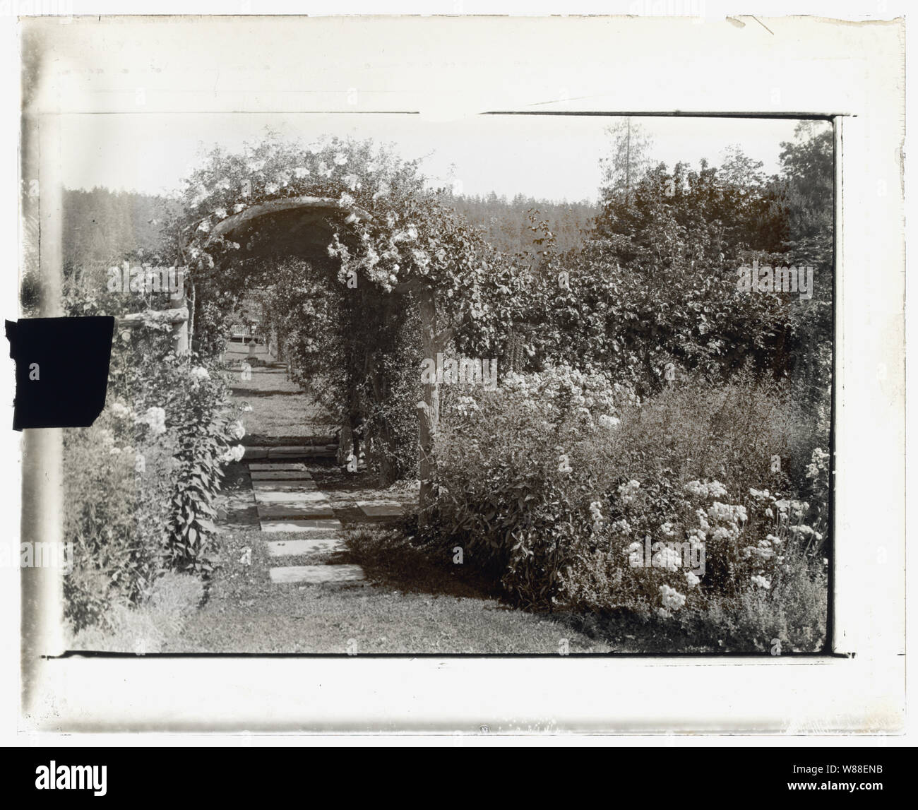 Robert Butchart High Resolution Stock Photography and Images - Alamy