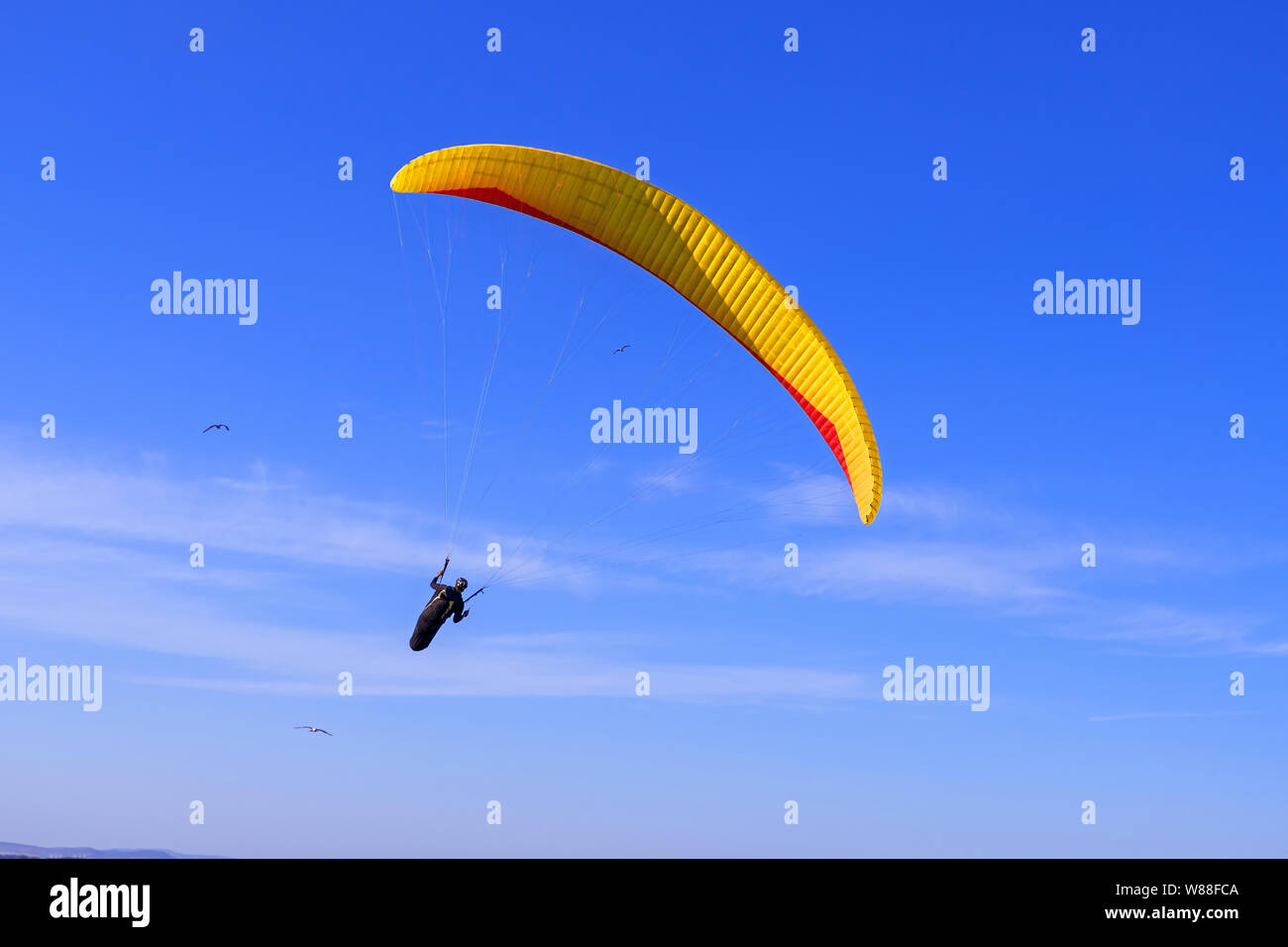 Parachute with birds hi-res stock photography and images - Alamy