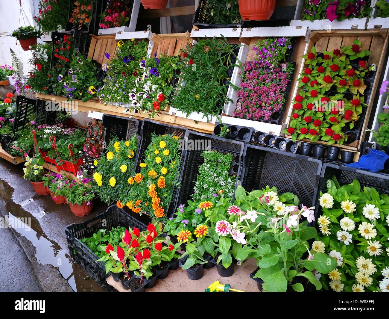Russia flower market hi-res stock photography and images - Alamy