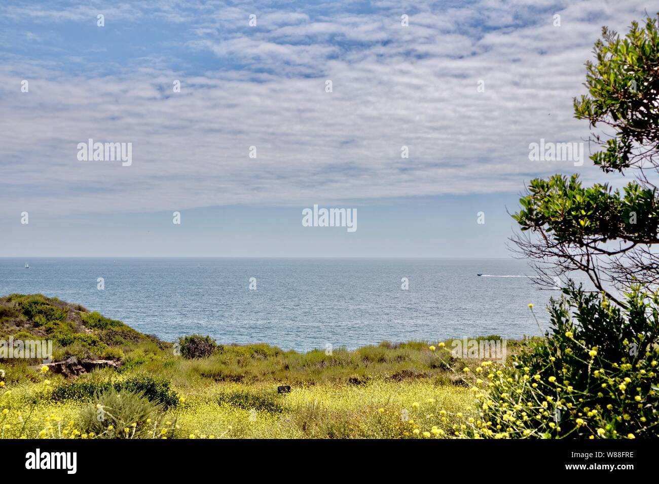 Cliff overlooking ocean hi-res stock photography and images - Alamy
