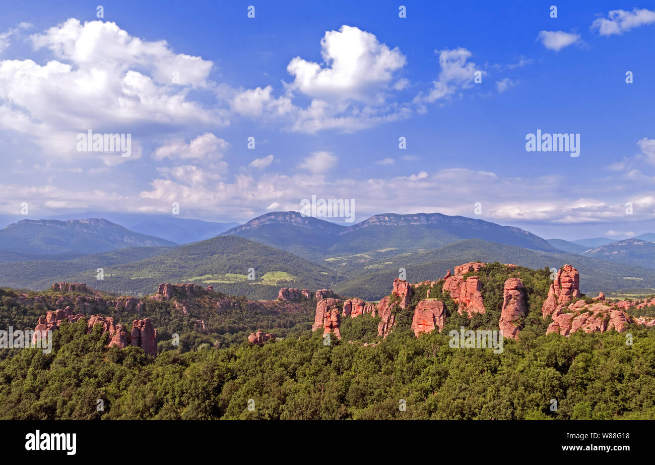 Magnificent rocks among the forest in Belogradchik, Bulgaria Stock ...