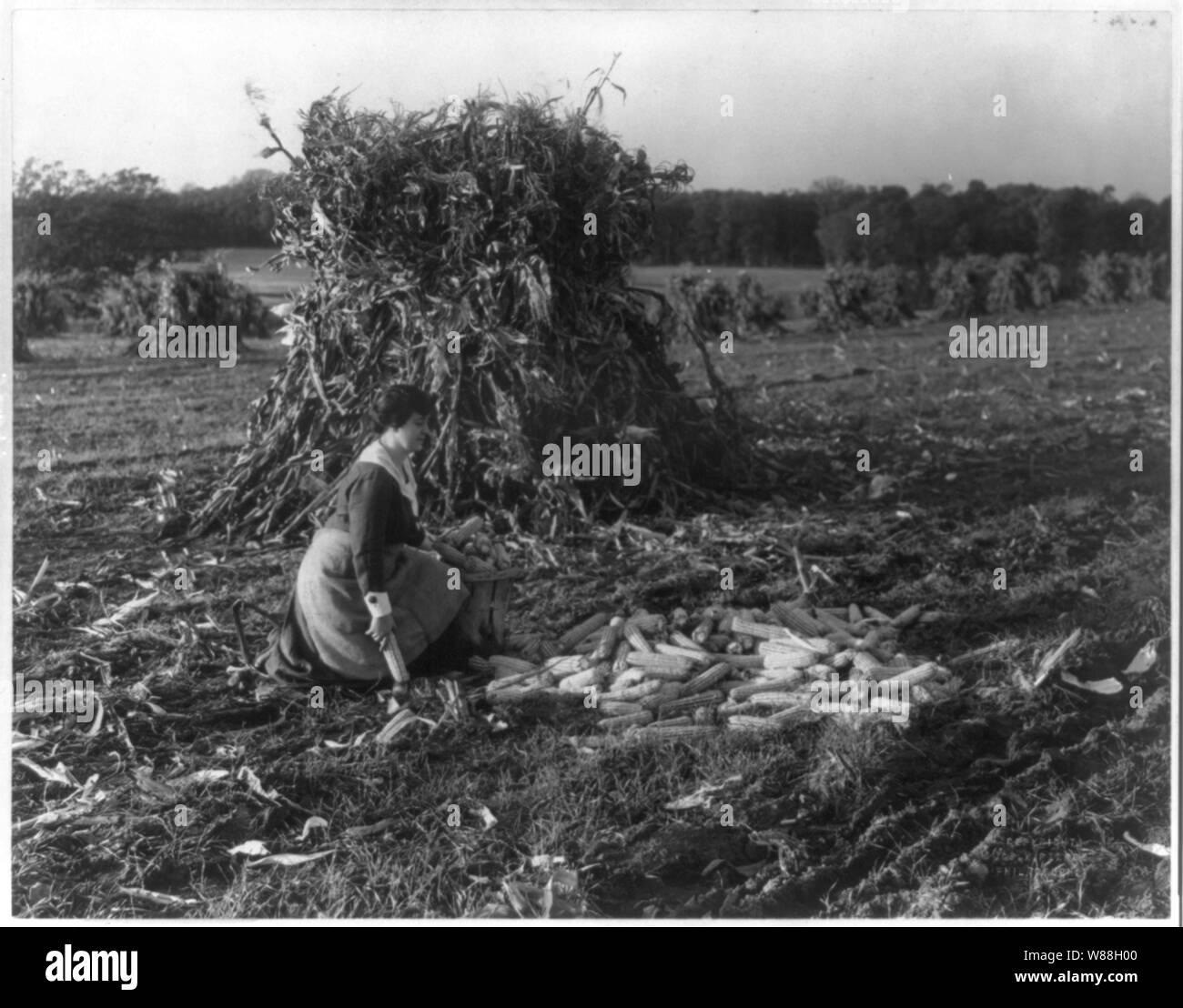 Corn farm usa Black and White Stock Photos & Images - Alamy