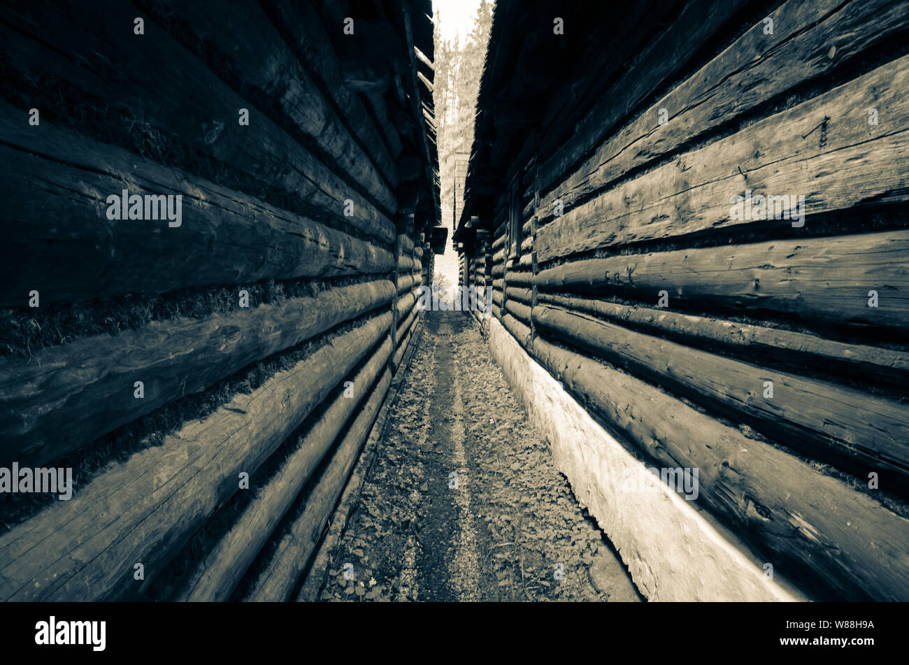 Dark mysterious wooden gate hi-res stock photography and images - Alamy
