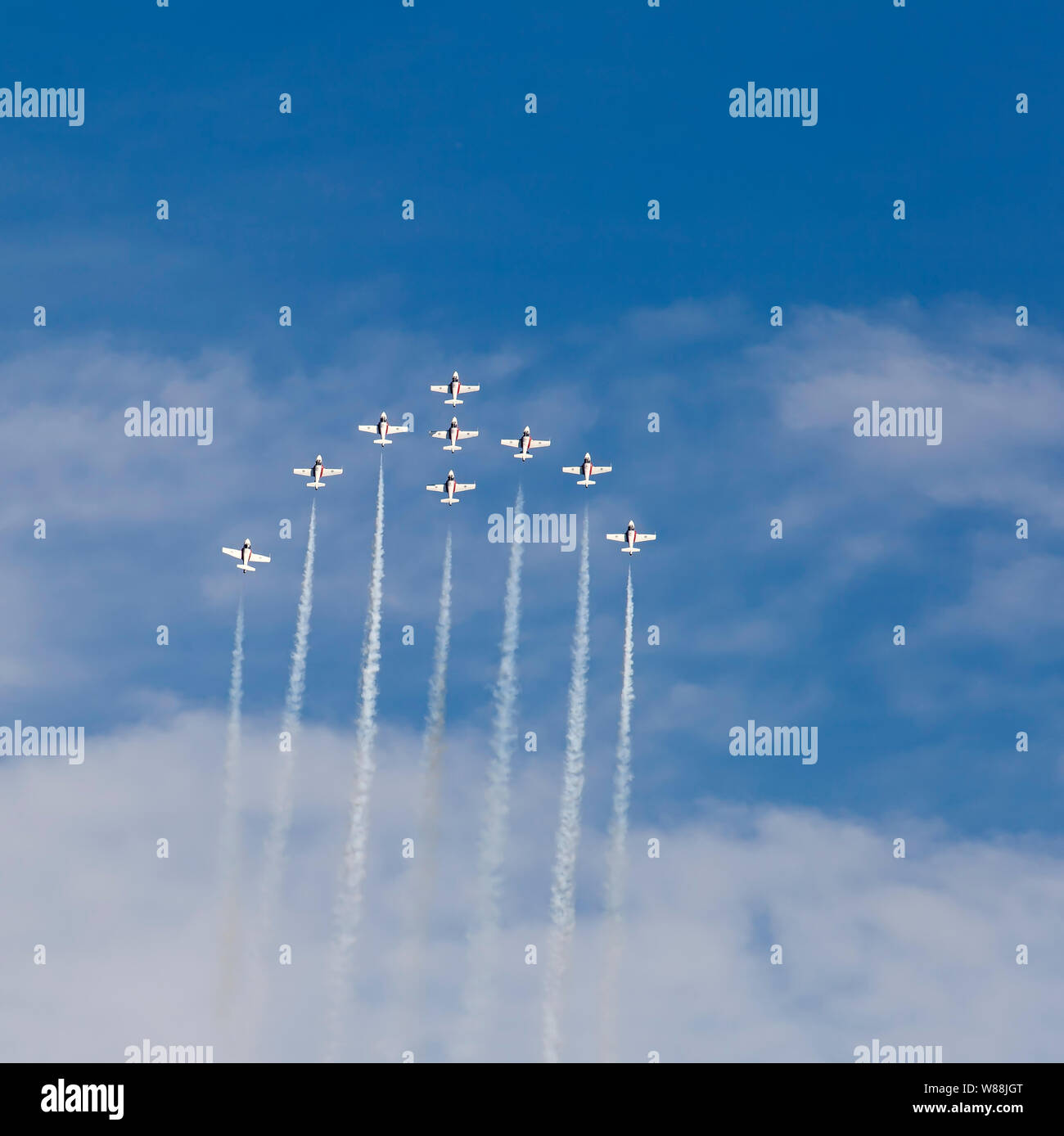 Canada snowbirds jet formation hi-res stock photography and images - Alamy
