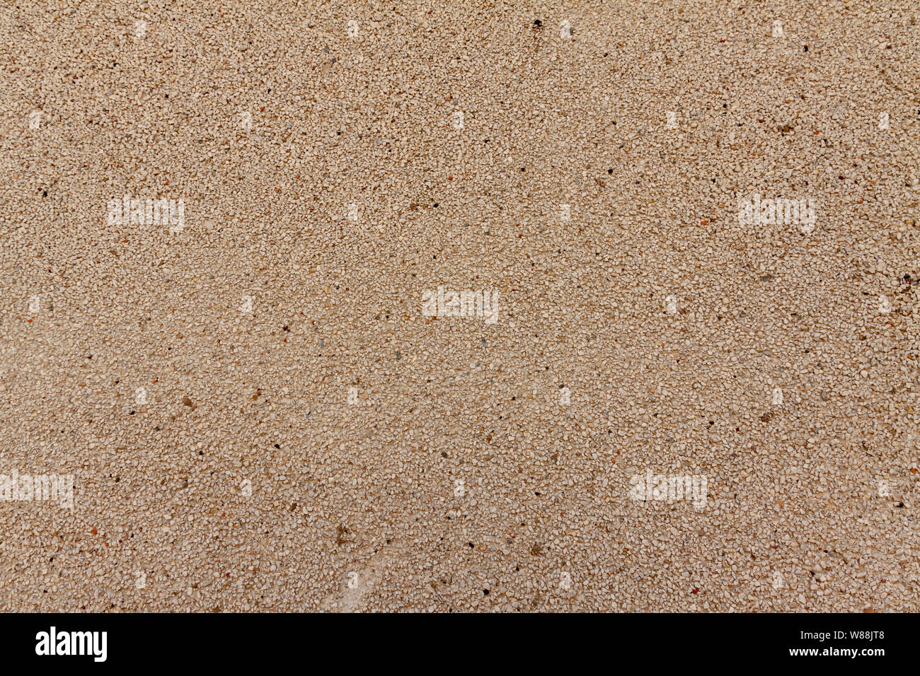 On the wall, light-colored plaster from coarse sand, background Stock ...