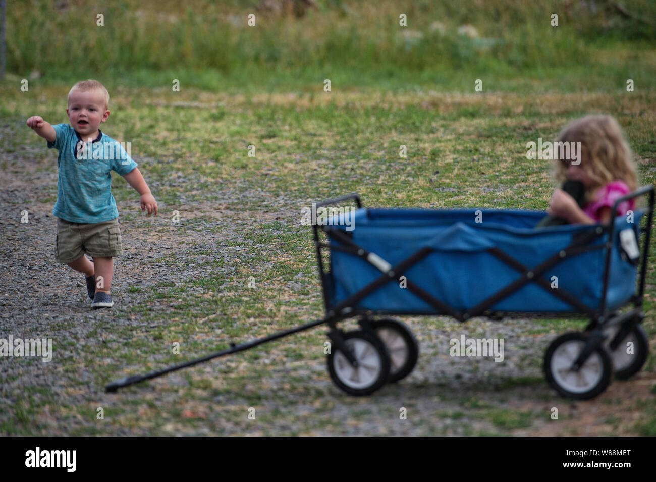 UNITED STATES - June 7, 2019: Doolan and Mabel Kroiz play at the family ...