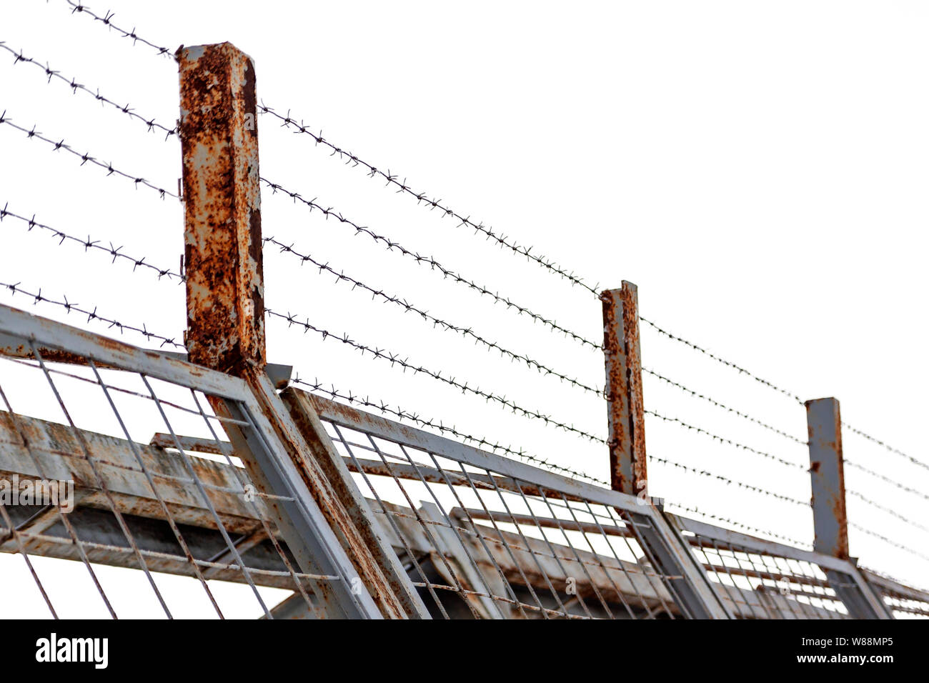 Barbed wire on a cutting fence, on a white background. Isolate Stock ...