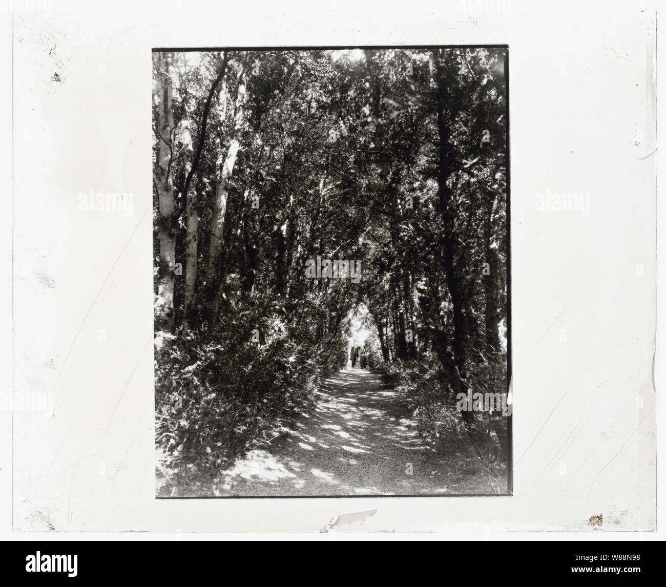 Henry wickham hi-res stock photography and images - Alamy