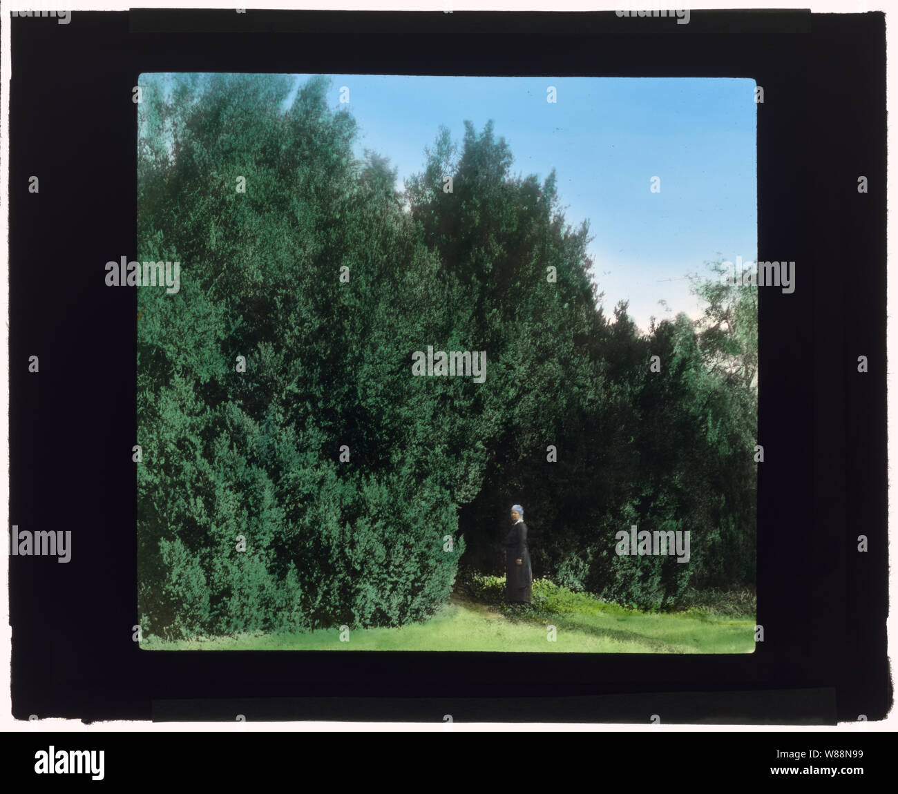 Hickory hill hi-res stock photography and images - Alamy