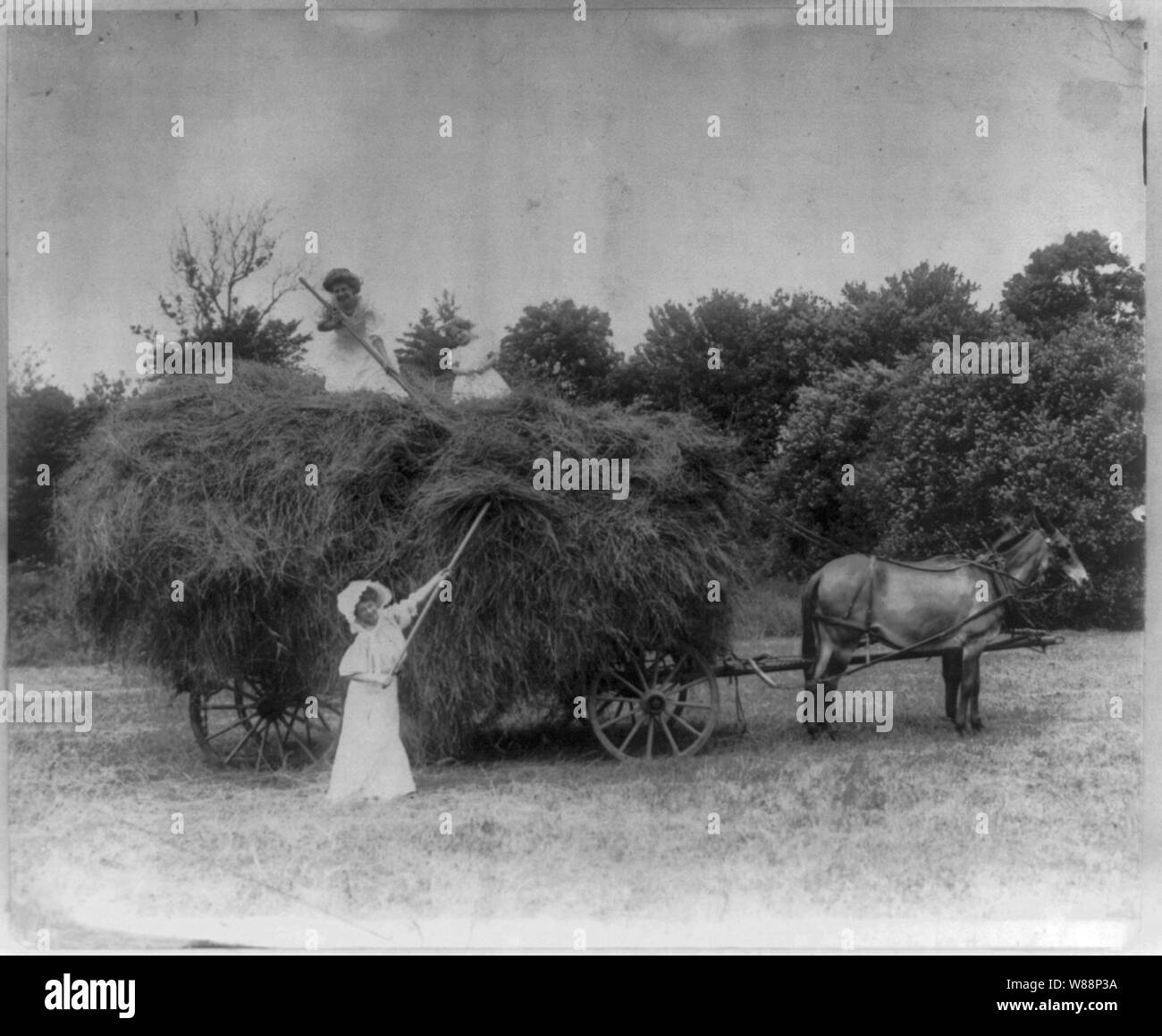 In the good old summer time Stock Photo - Alamy