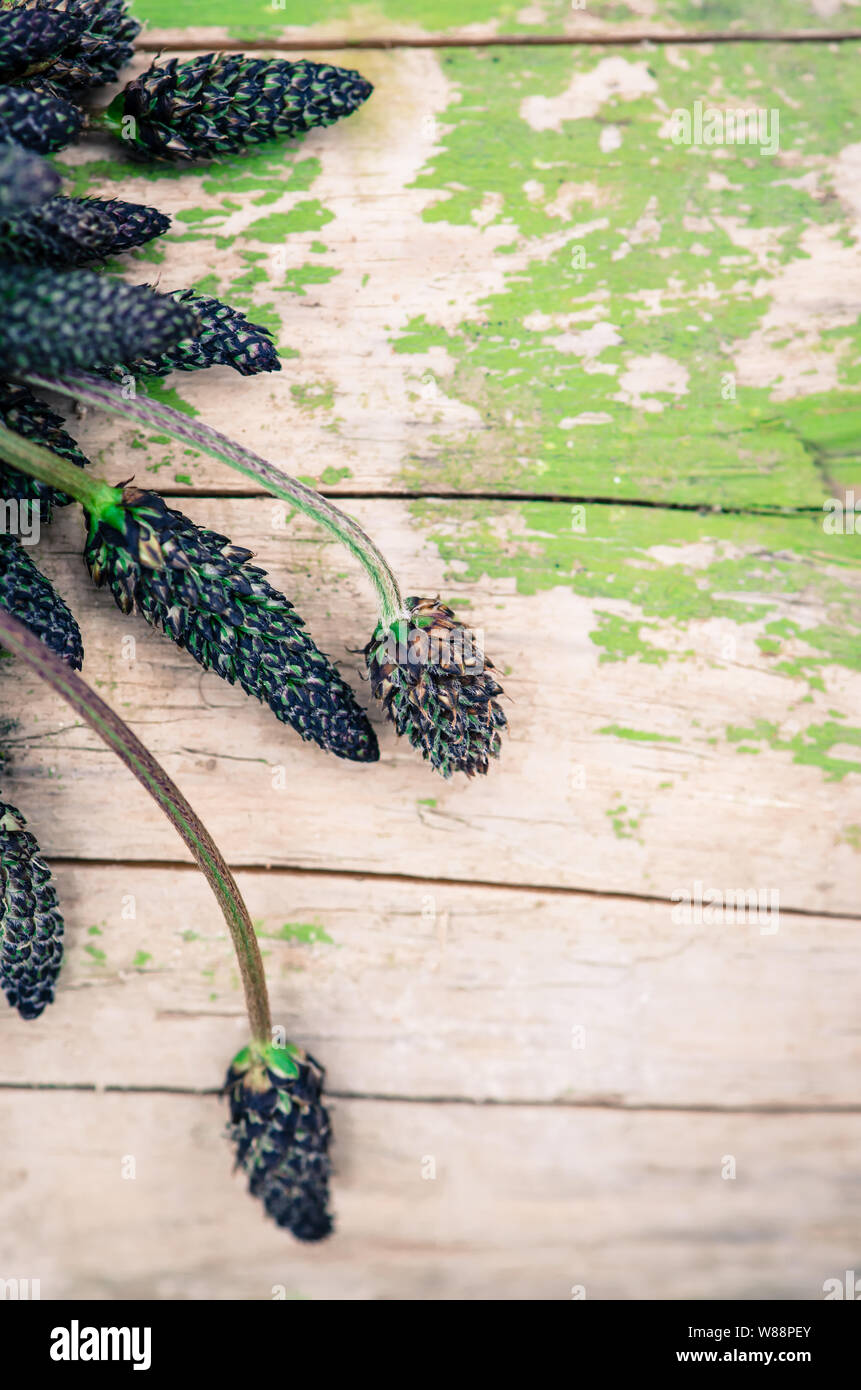 detail of plantain image background Stock Photo - Alamy