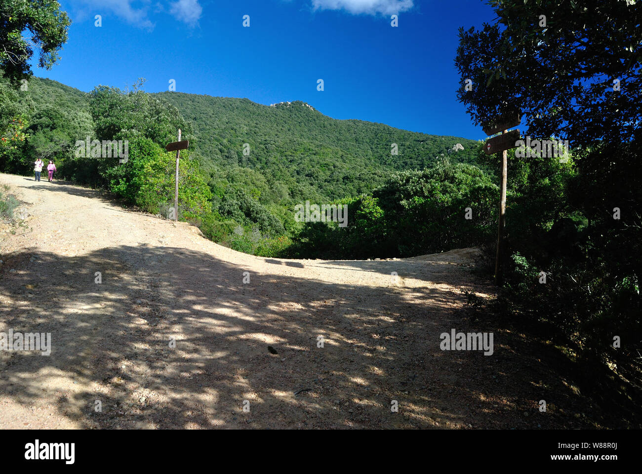 Sette fratelli hi-res stock photography and images - Alamy