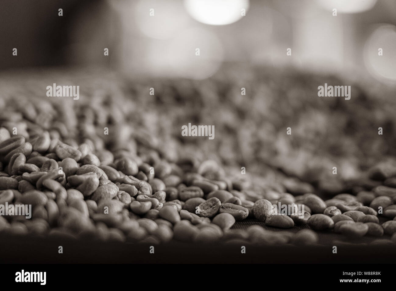 Peruvian coffee beans Stock Photo - Alamy