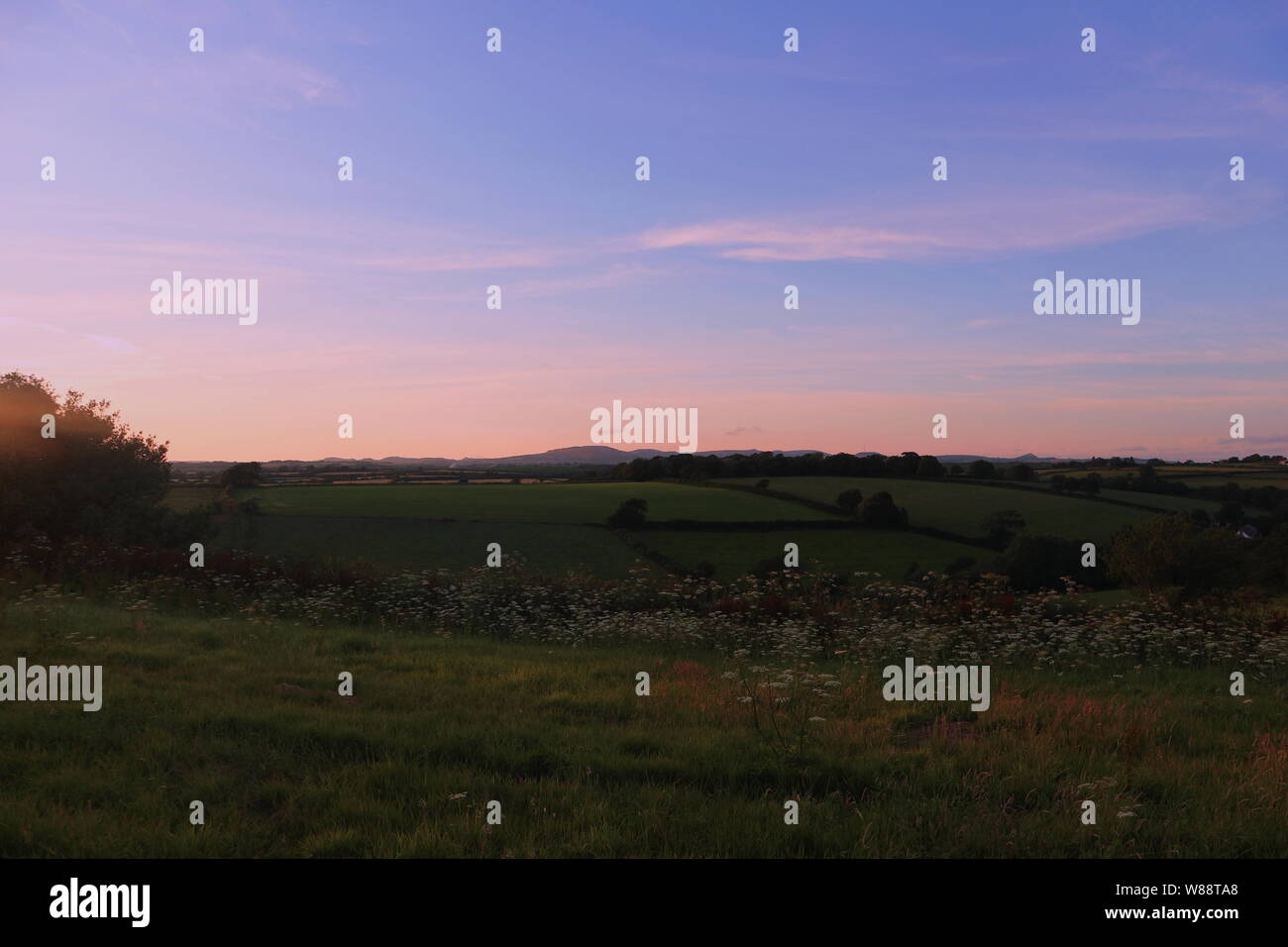 Wide meadow hi-res stock photography and images - Alamy