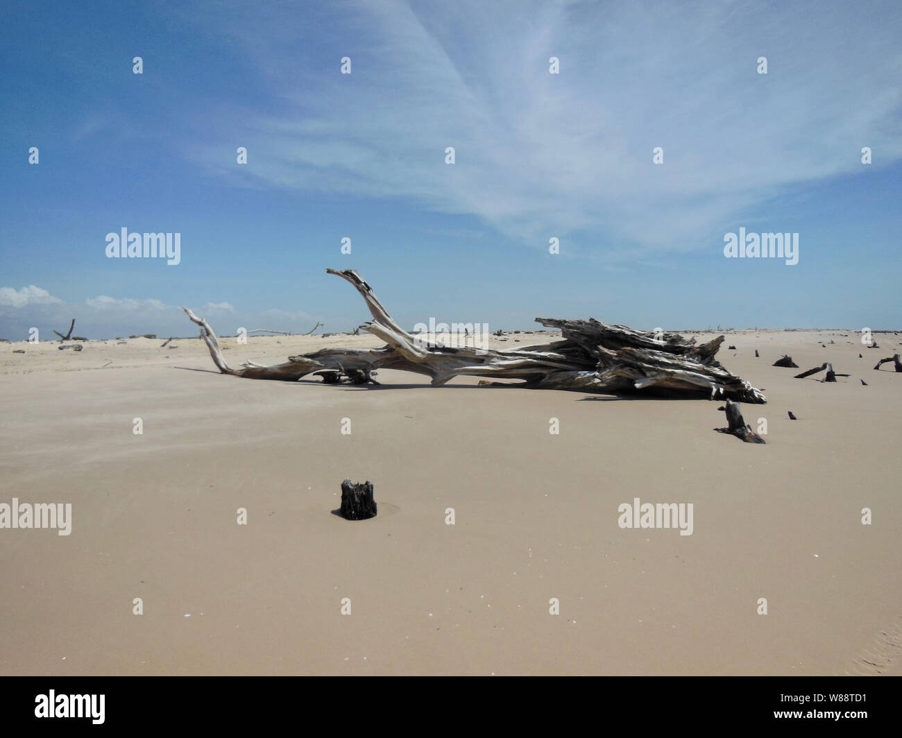Still life in desert hi-res stock photography and images - Alamy