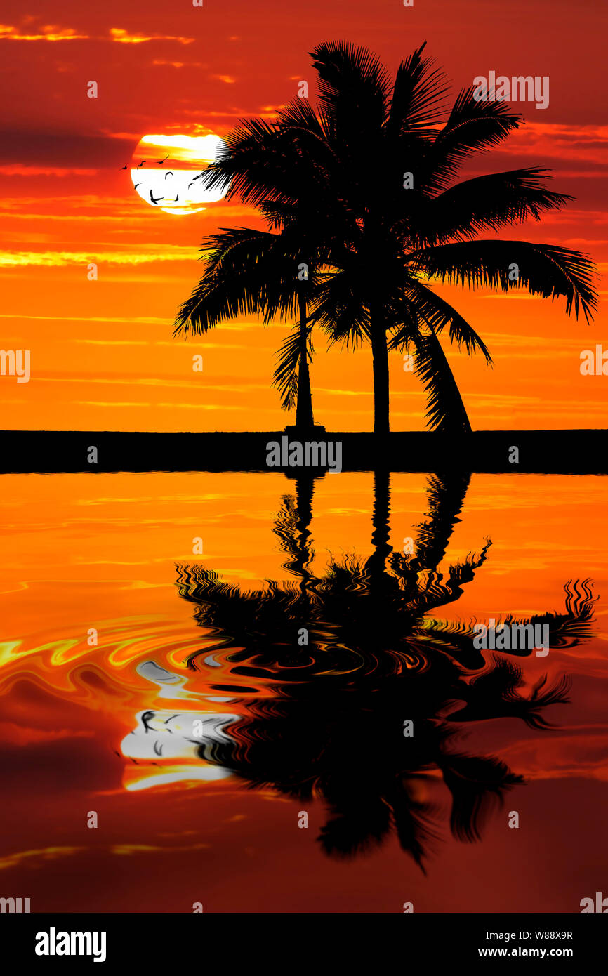 Beautiful golden sunset silhouette tree hi-res stock photography and ...