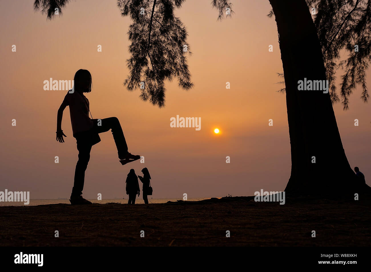 Trample trampling hi-res stock photography and images - Alamy