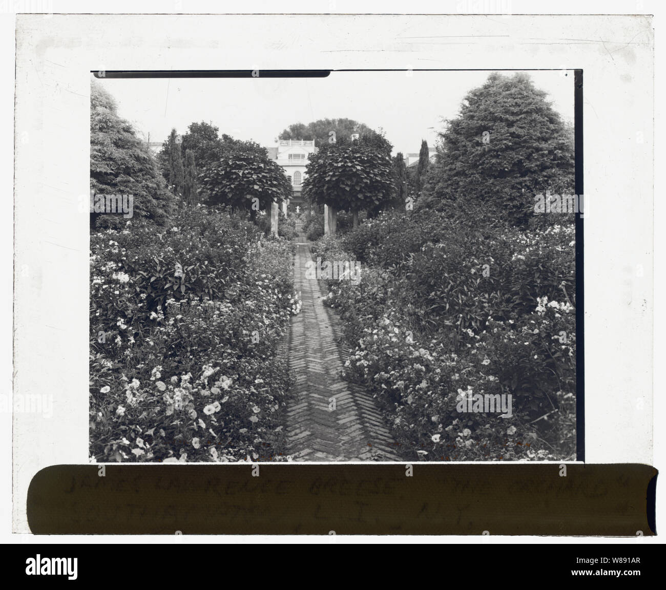 Path to the orchard Cut Out Stock Images & Pictures - Alamy