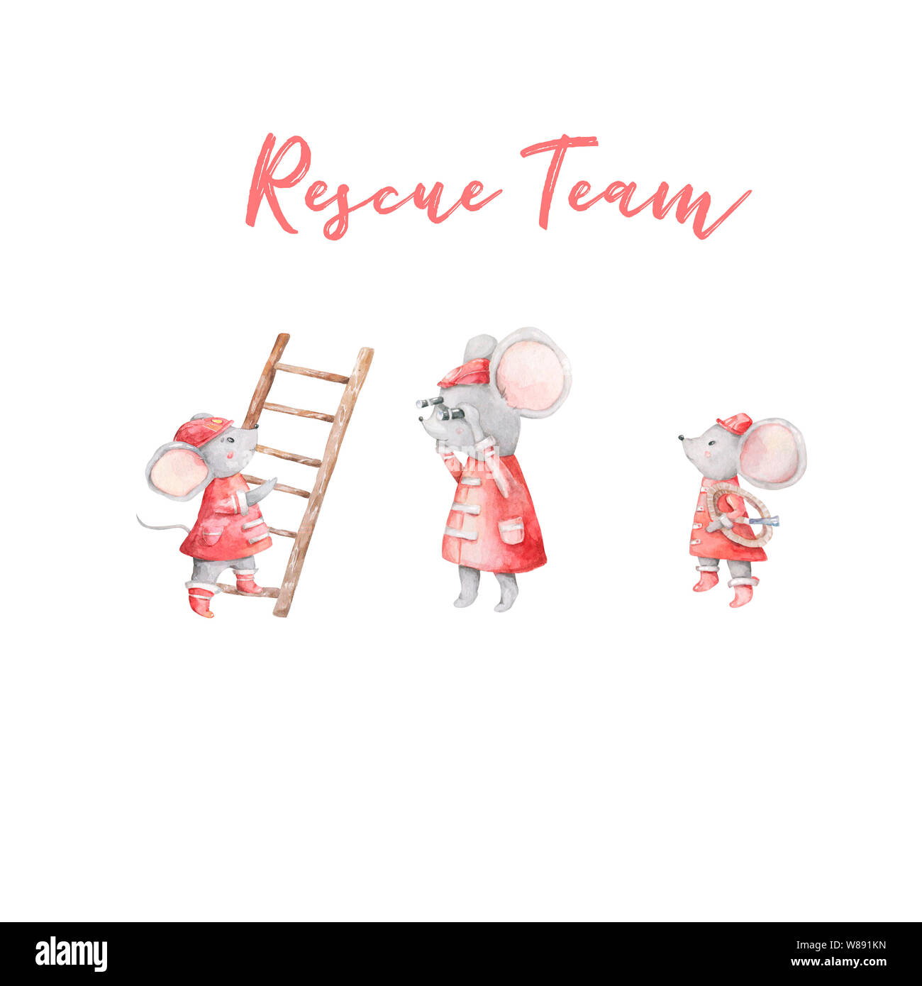 Red fox in summer Cut Out Stock Images & Pictures - Alamy