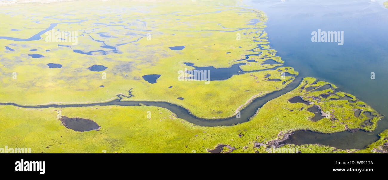 Marsh grass cape cod hi-res stock photography and images - Alamy