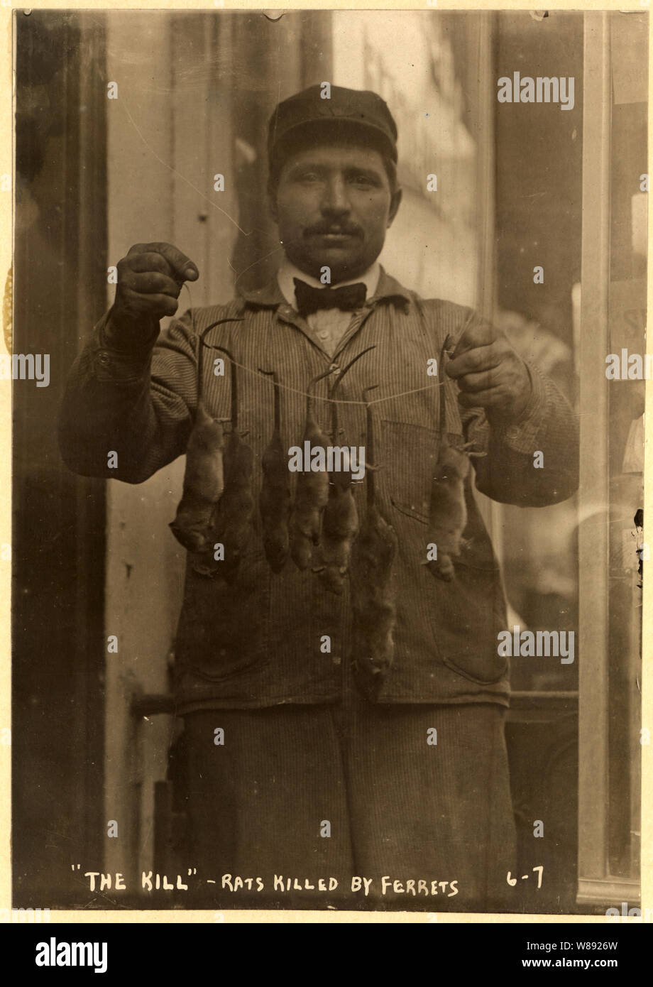 How to kill rats hi-res stock photography and images - Alamy