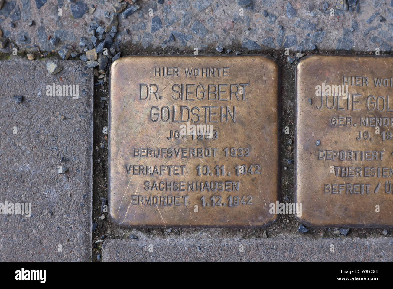 Stolpersteine stumbling blocks in pavement hi-res stock photography and ...