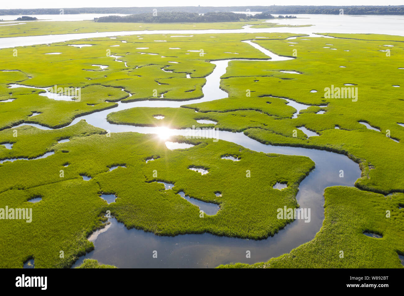 Marsh grass cape cod hi-res stock photography and images - Alamy