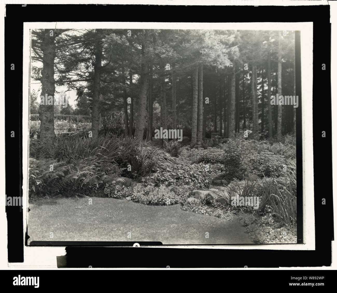 Thornewood hi-res stock photography and images - Alamy