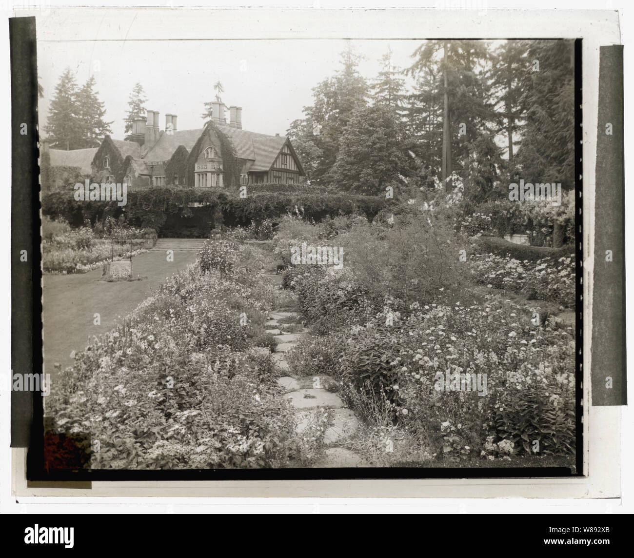 Chester thorne hi-res stock photography and images - Alamy
