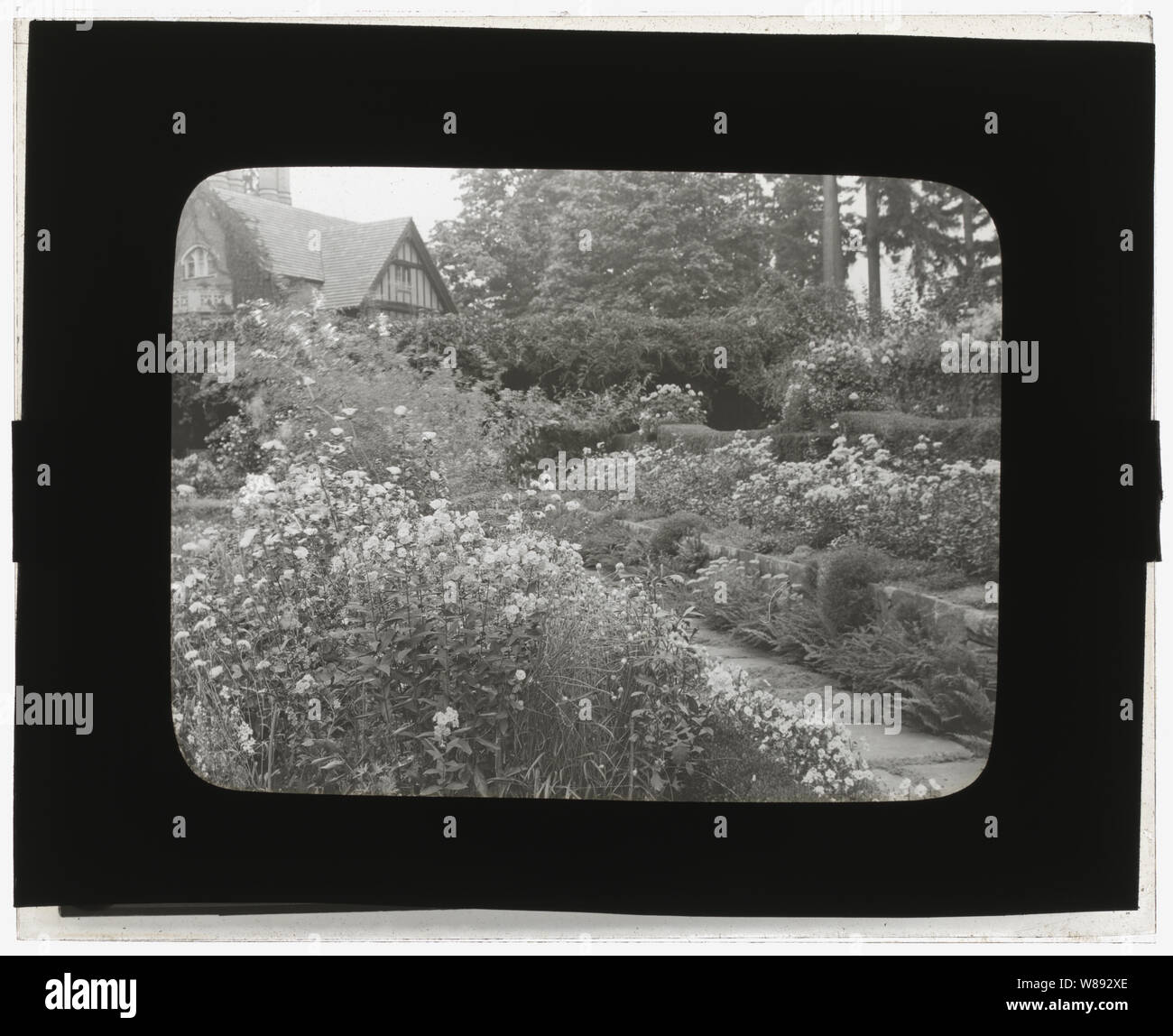 Chester thorne hi-res stock photography and images - Alamy