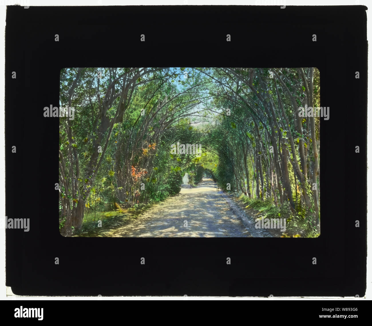 Villa sciarra rome hi-res stock photography and images - Alamy