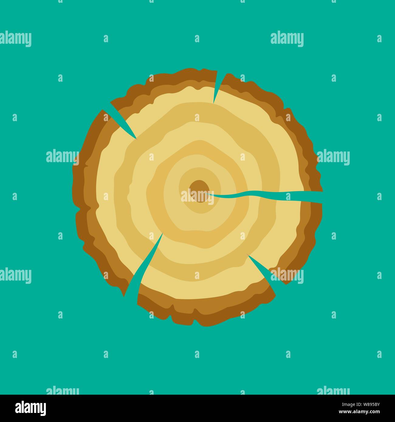 Tree Trunk Annual Rings Section Isolated on White Background. Wood ...